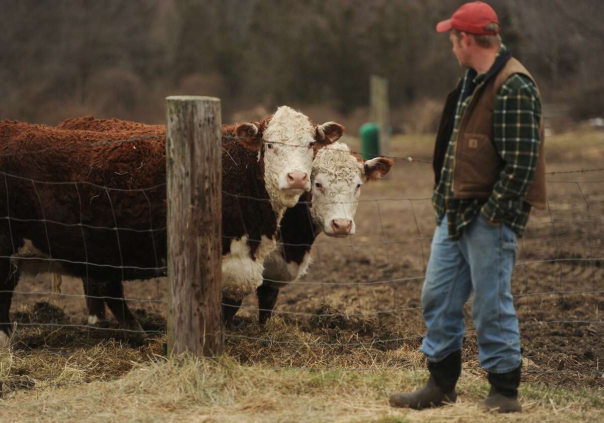 Connecticut’s top young farmer grows success at family’s Bethany farm