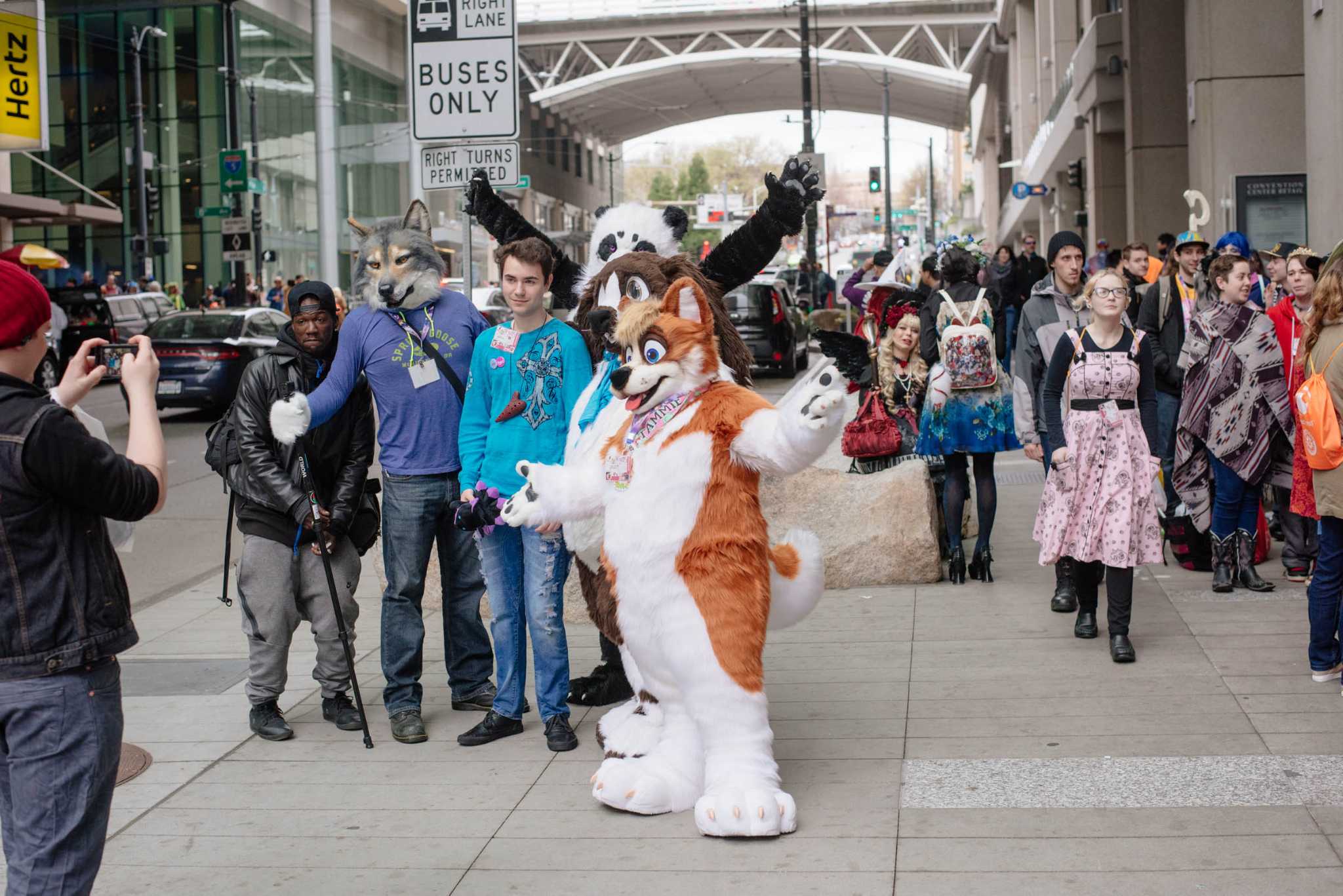Video: San Jose furry convention attendees help make domestic violence ...