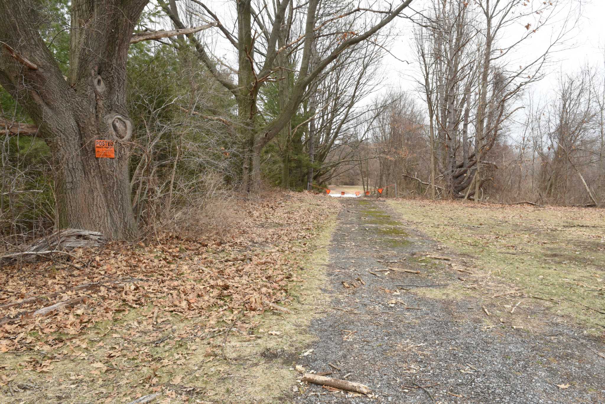 Dozens voice opinions on proposed Niskayuna Holocaust memorial