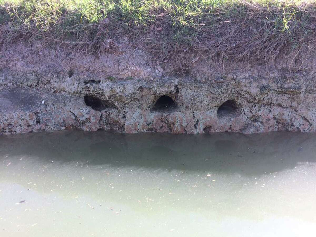 Fishing in the city? Here's what lurks in Houston's Brays Bayou