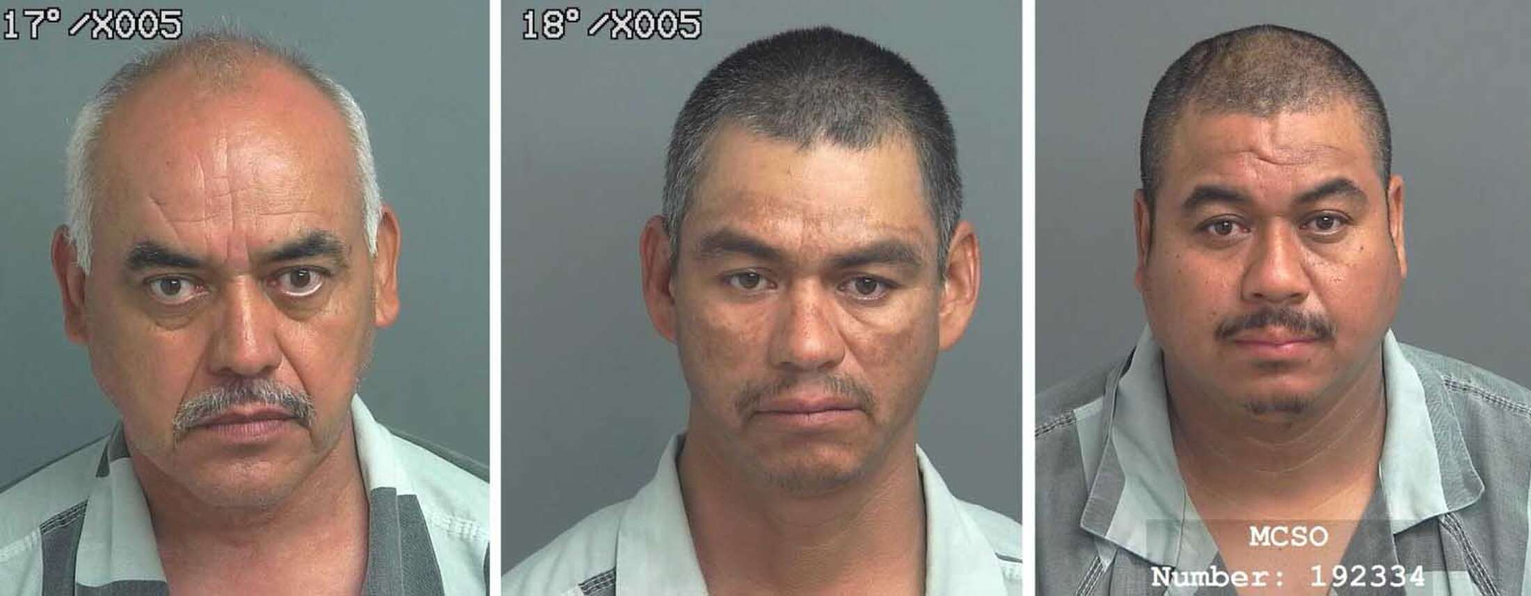 Ducks shot with arrows repeatedly in Pearland neighborhood