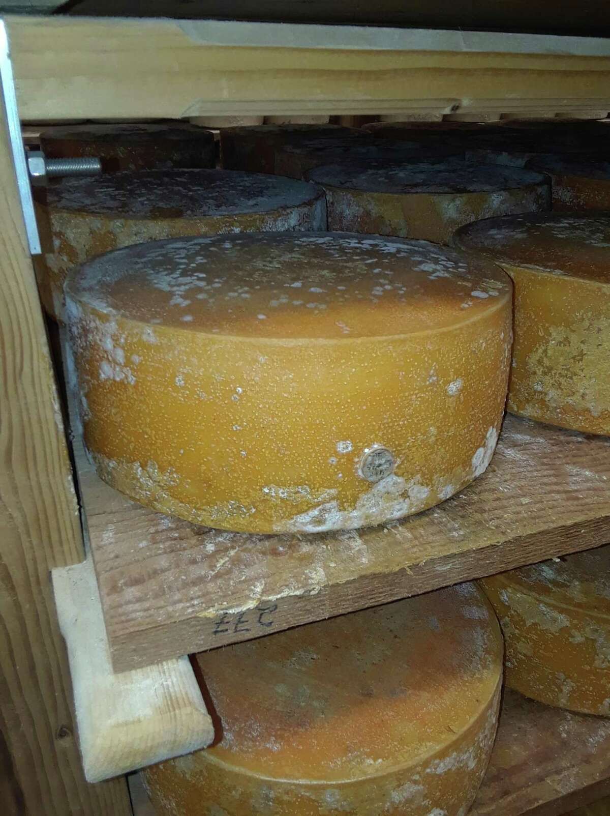 Arethusa’s prize-winning cheese shines at Bantam dairy