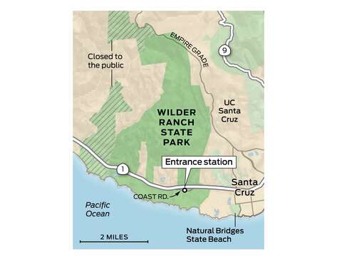 The 5 best spots around Santa Cruz to see redwoods