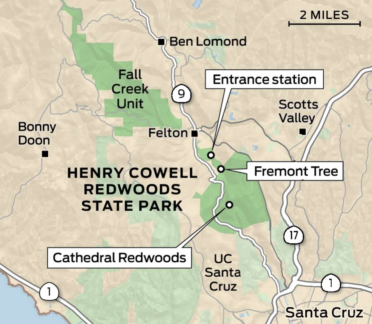 The 5 best spots around Santa Cruz to see redwoods