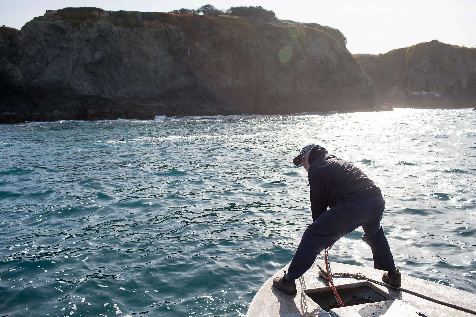Northern California divers battle to save abalone — with a giant sea ...