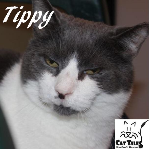 Tippy