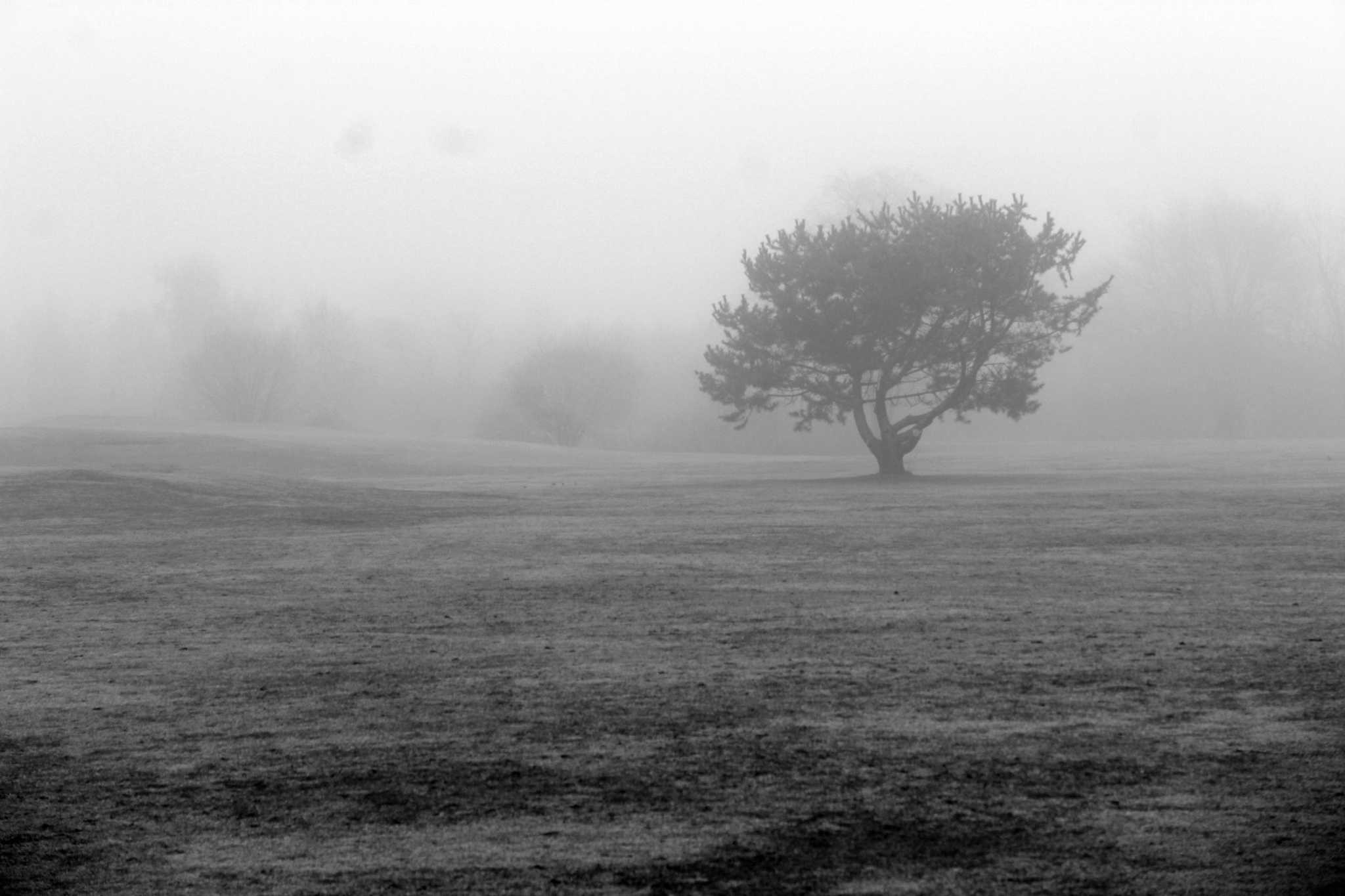Views: Fog’s rising out in the fields