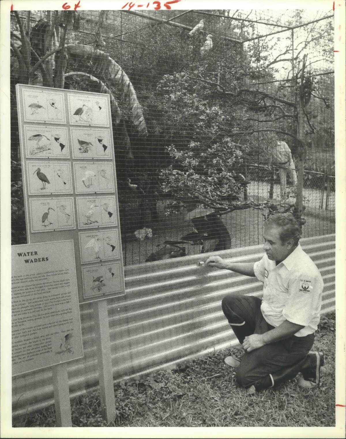 See how the Houston Zoo has evolved over the past 100 years