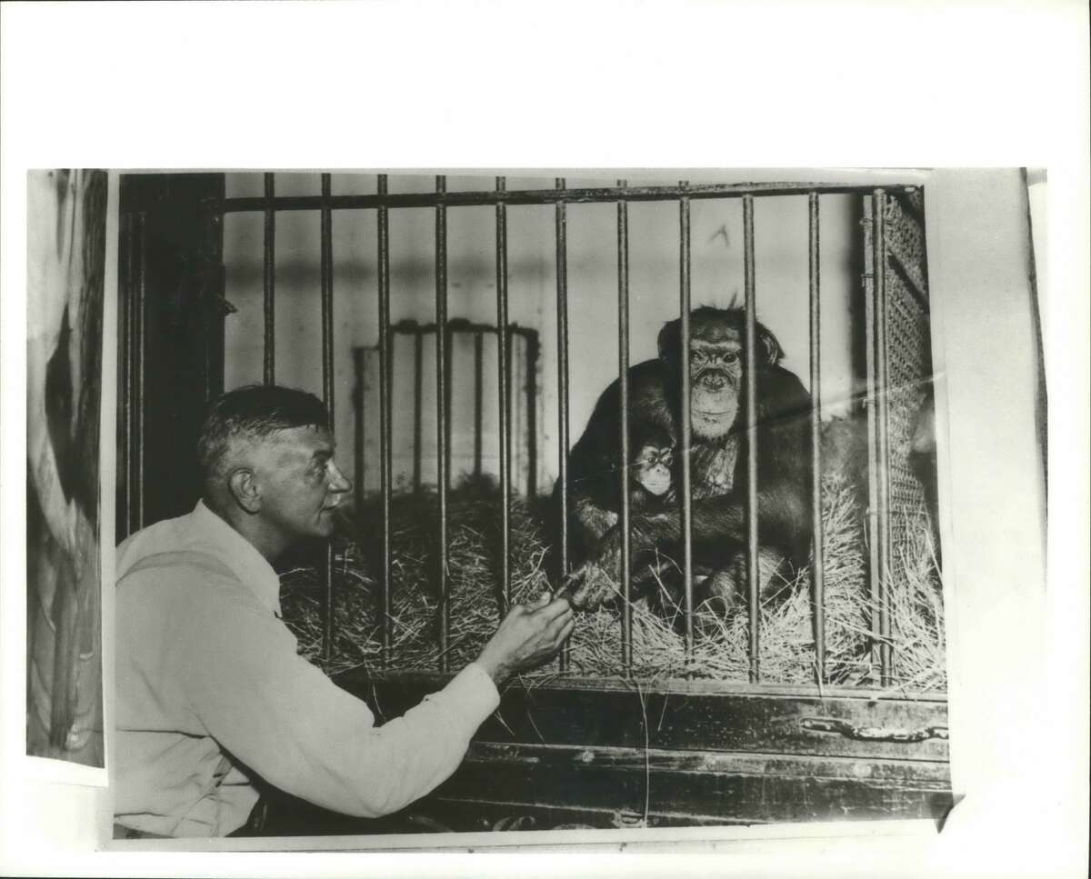 See how the Houston Zoo has evolved over the past 100 years