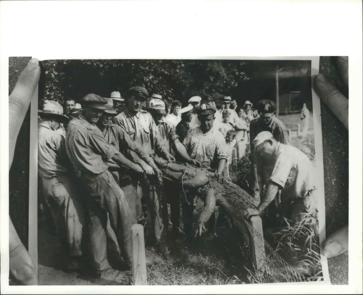 See how the Houston Zoo has evolved over the past 100 years