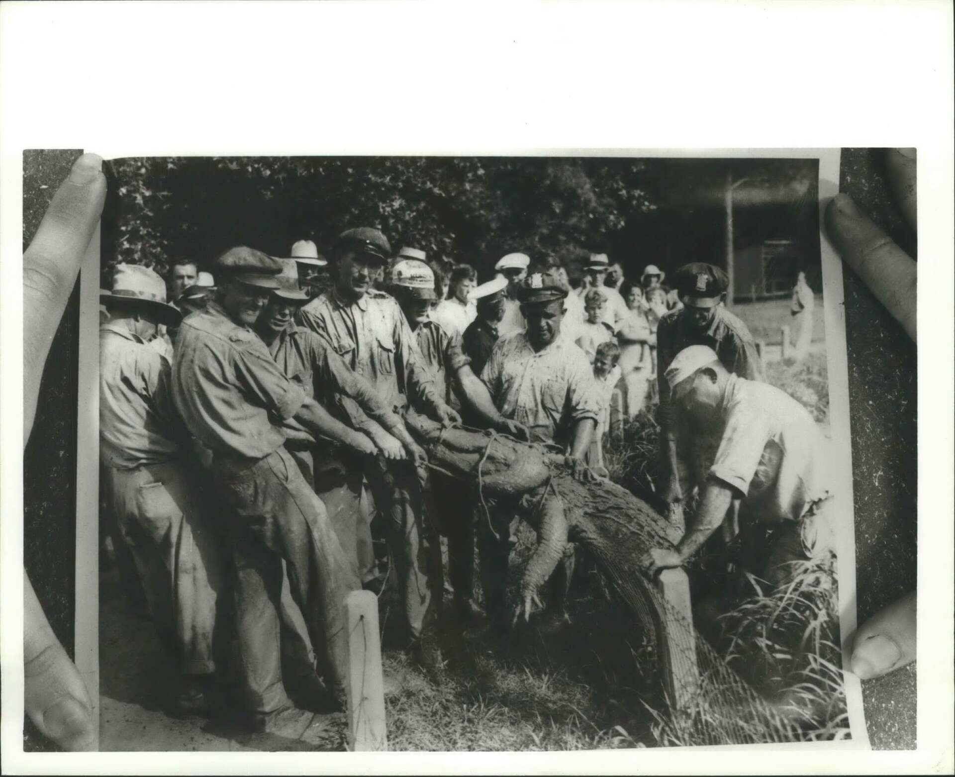 See how the Houston Zoo has evolved over the past 100 years
