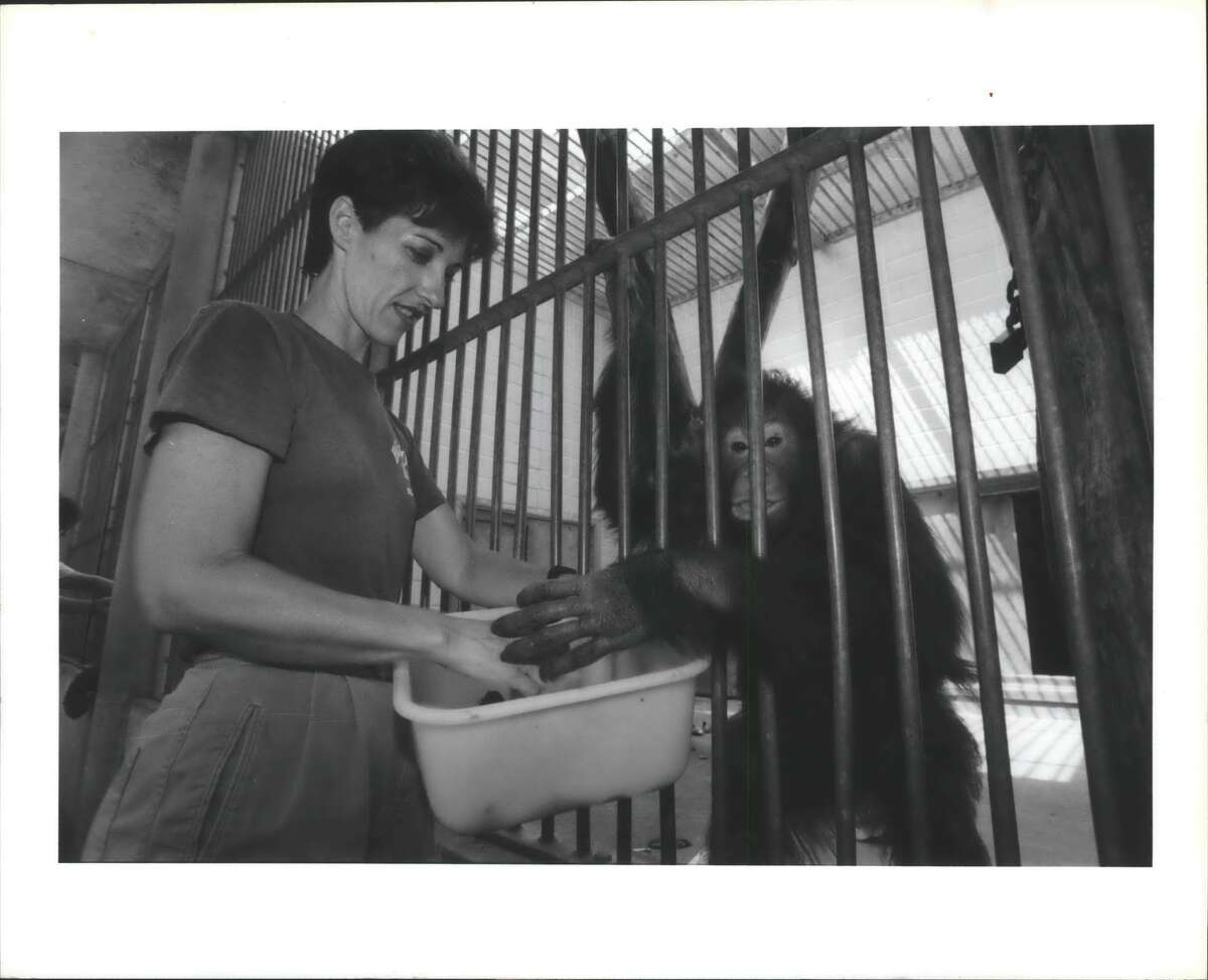 See how the Houston Zoo has evolved over the past 100 years