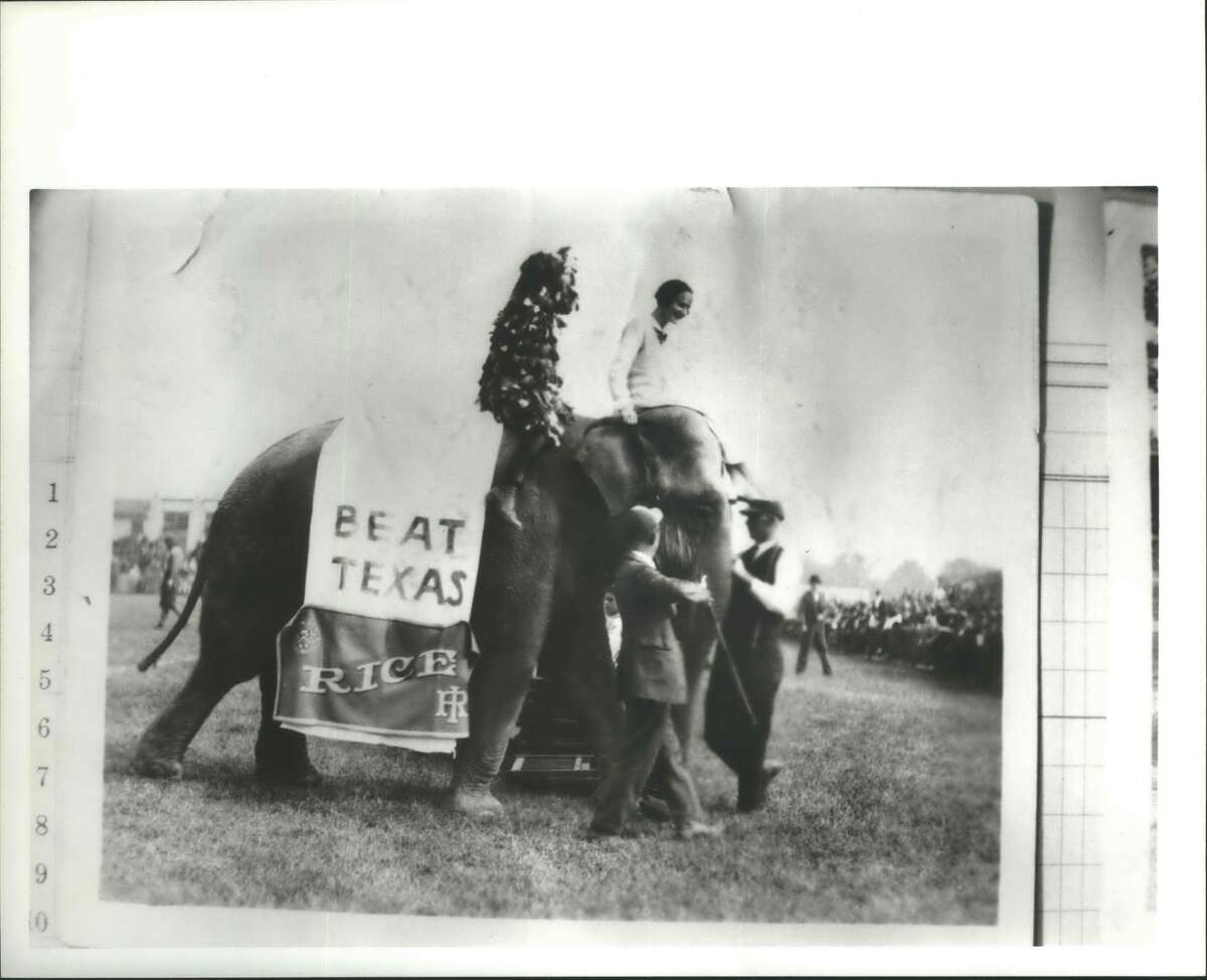 See how the Houston Zoo has evolved over the past 100 years