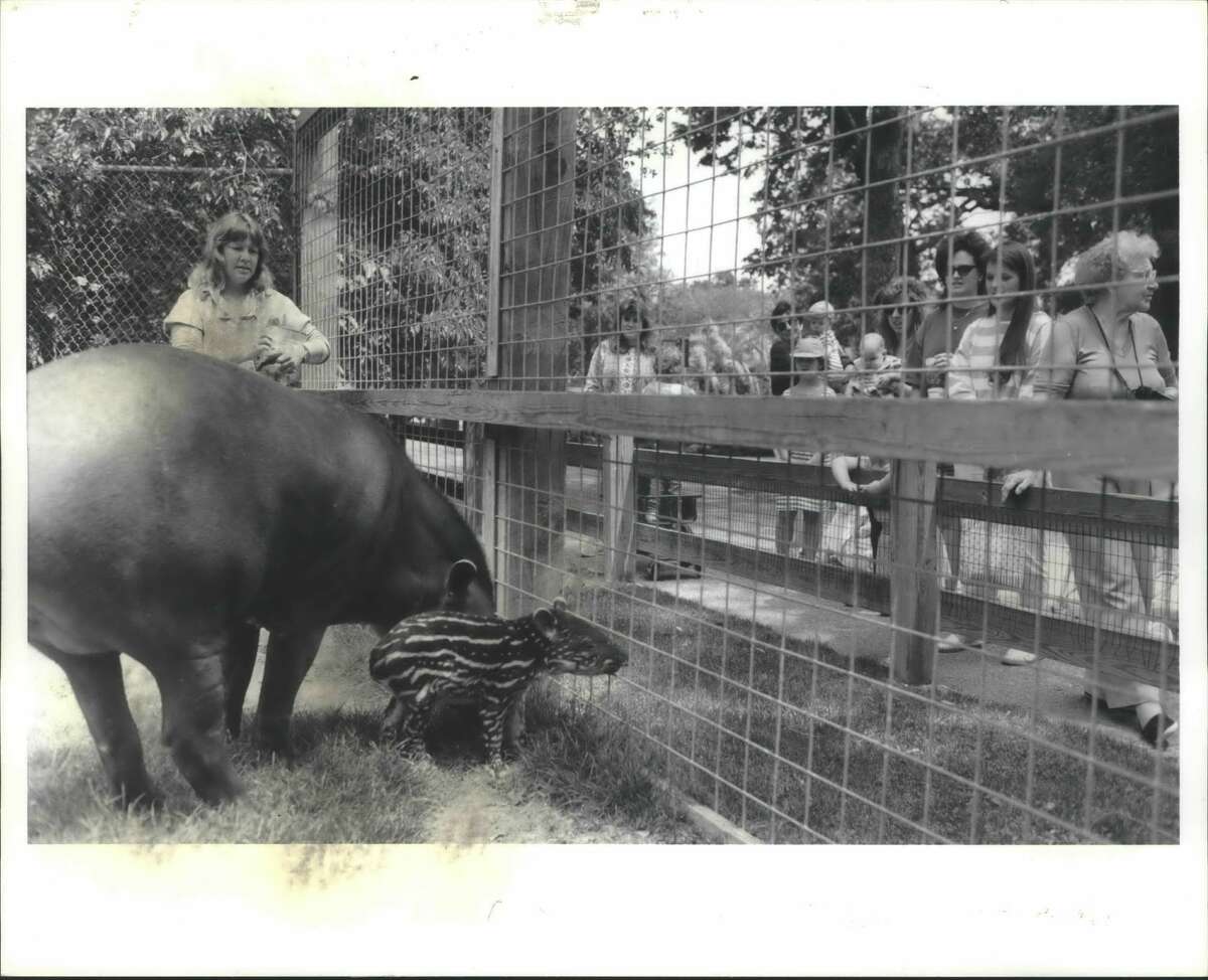 See how the Houston Zoo has evolved over the past 100 years