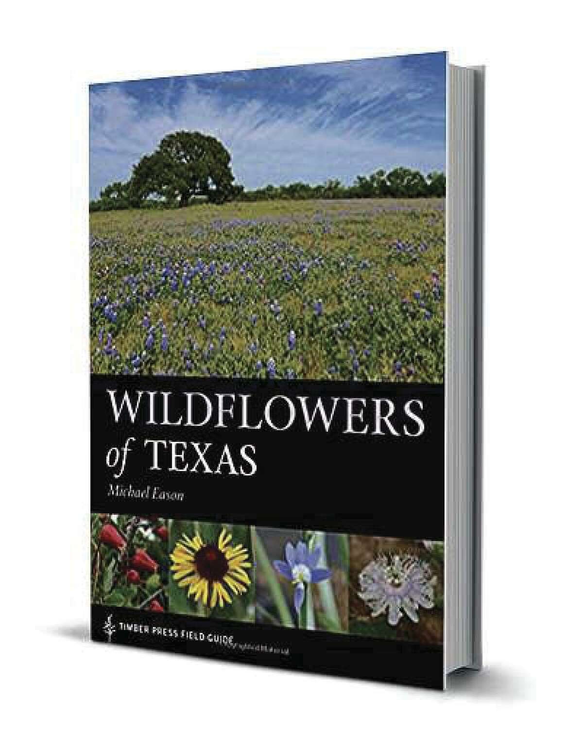 Two new wildflower guides help identify the flora of Texas