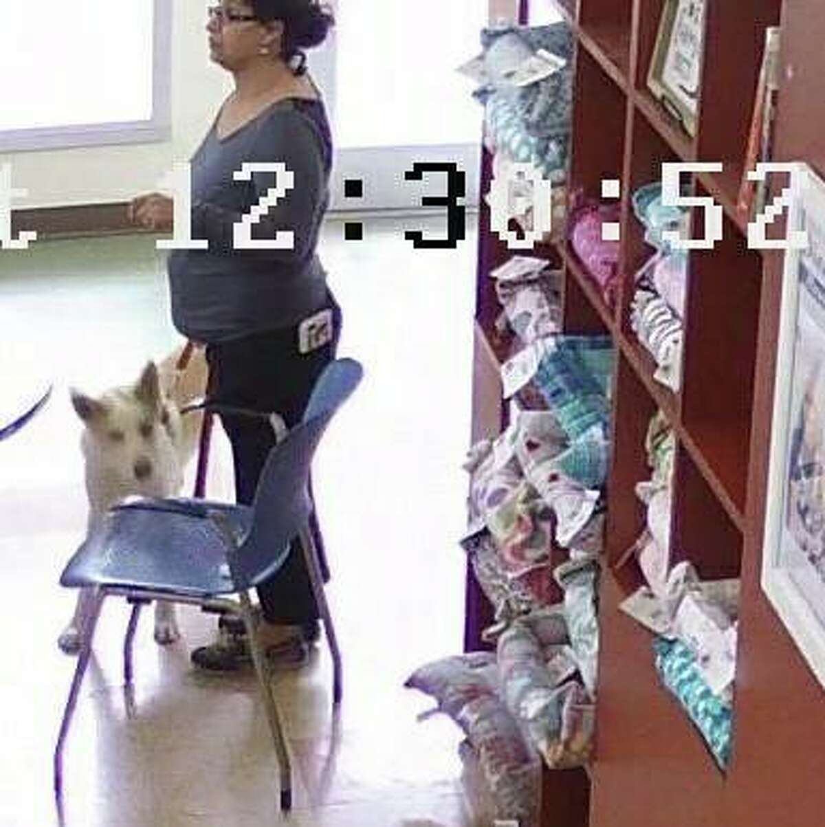 Dog reportedly stolen from the San Antonio Humane Society has been ... Dog reportedly stolen from the San Antonio Humane Society has been ...