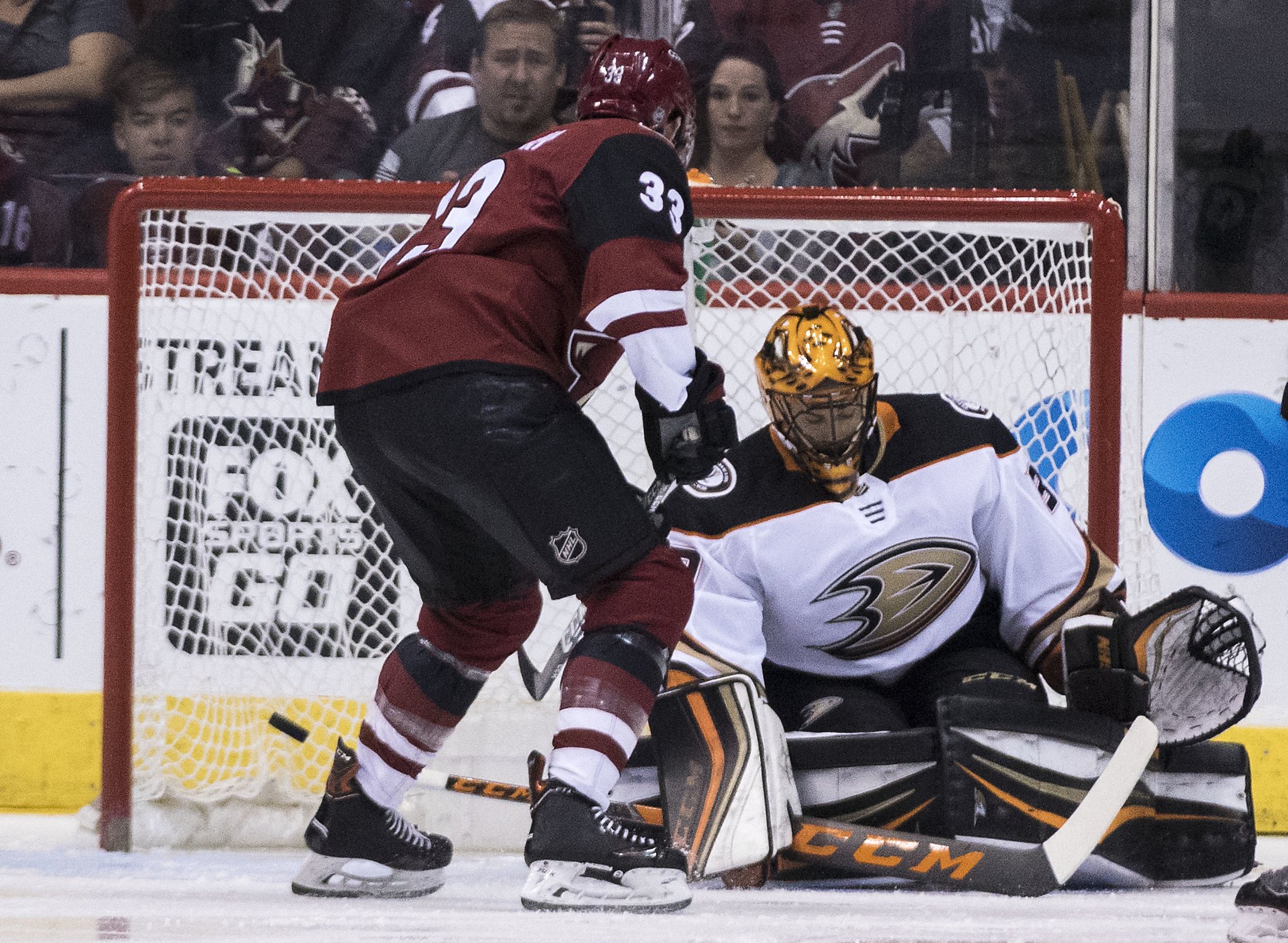 Phoenix Coyotes Photo Gallery