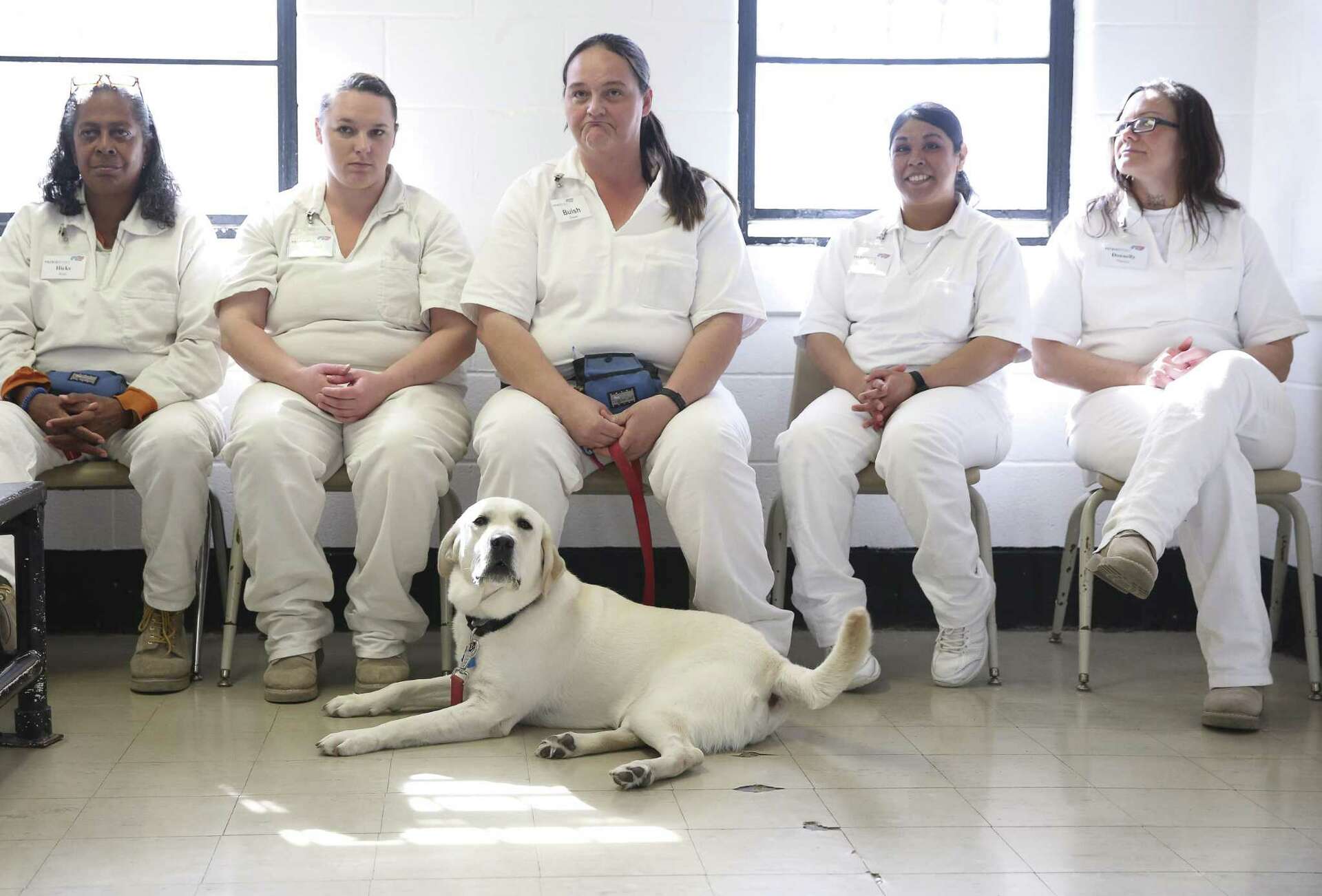 Inmates train service dogs for vets, learn new skills themselves