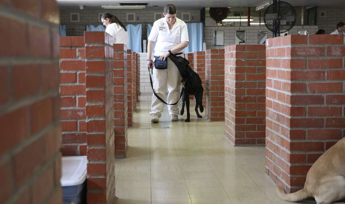 Inmates train service dogs for vets, learn new skills themselves