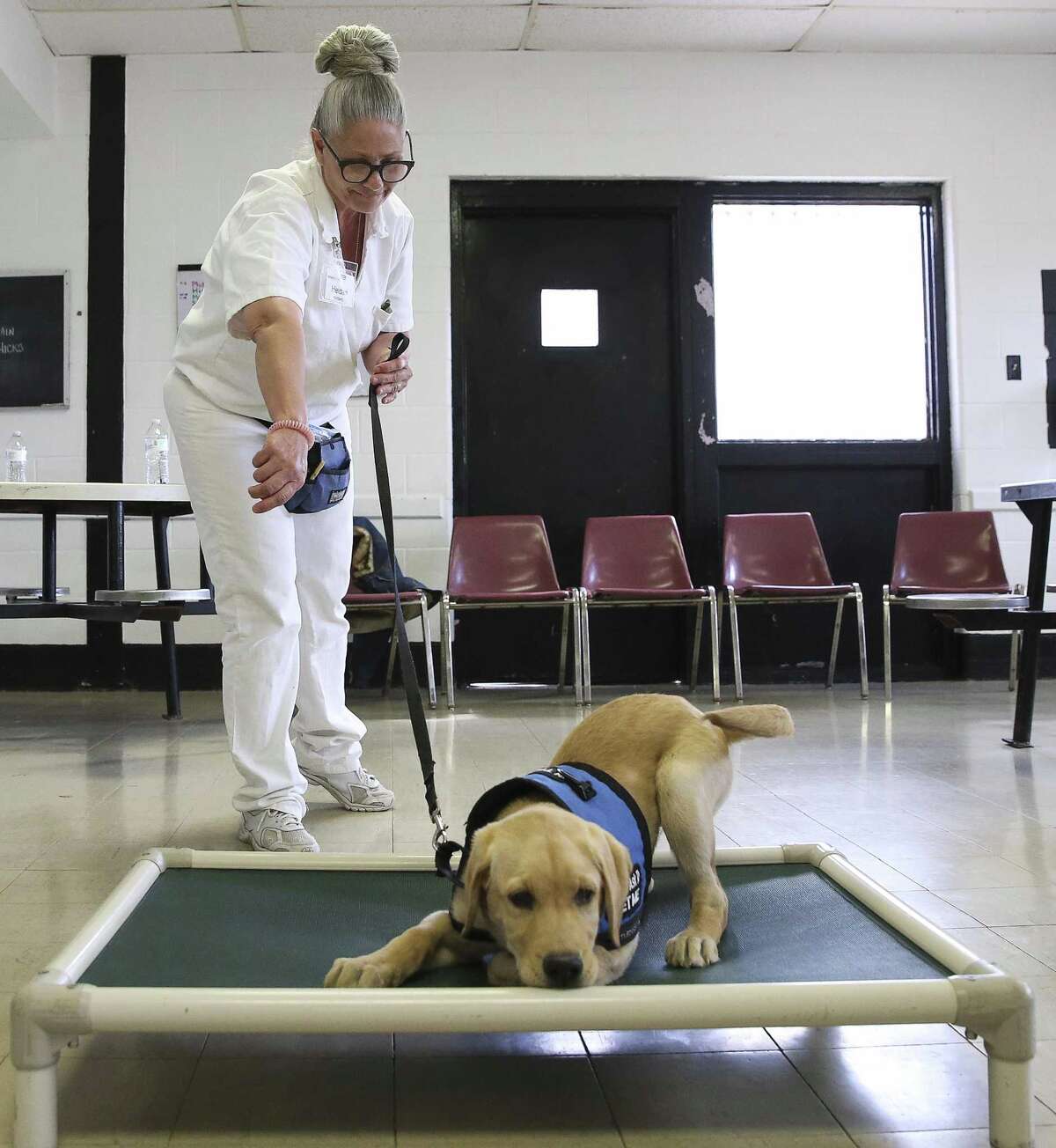 Inmates train service dogs for vets, learn new skills themselves