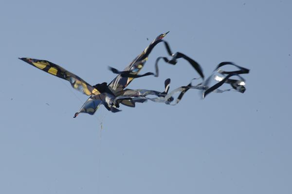 Hunt Library show “Kites!” opens April 21 in Falls Village