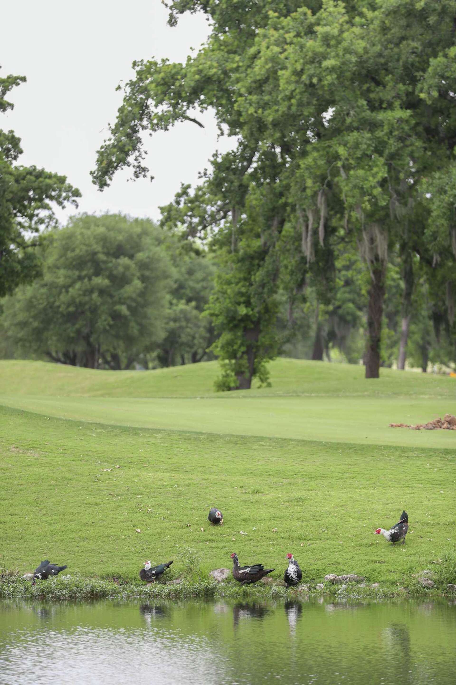 Houston Botanic Garden takes root with a tree farm