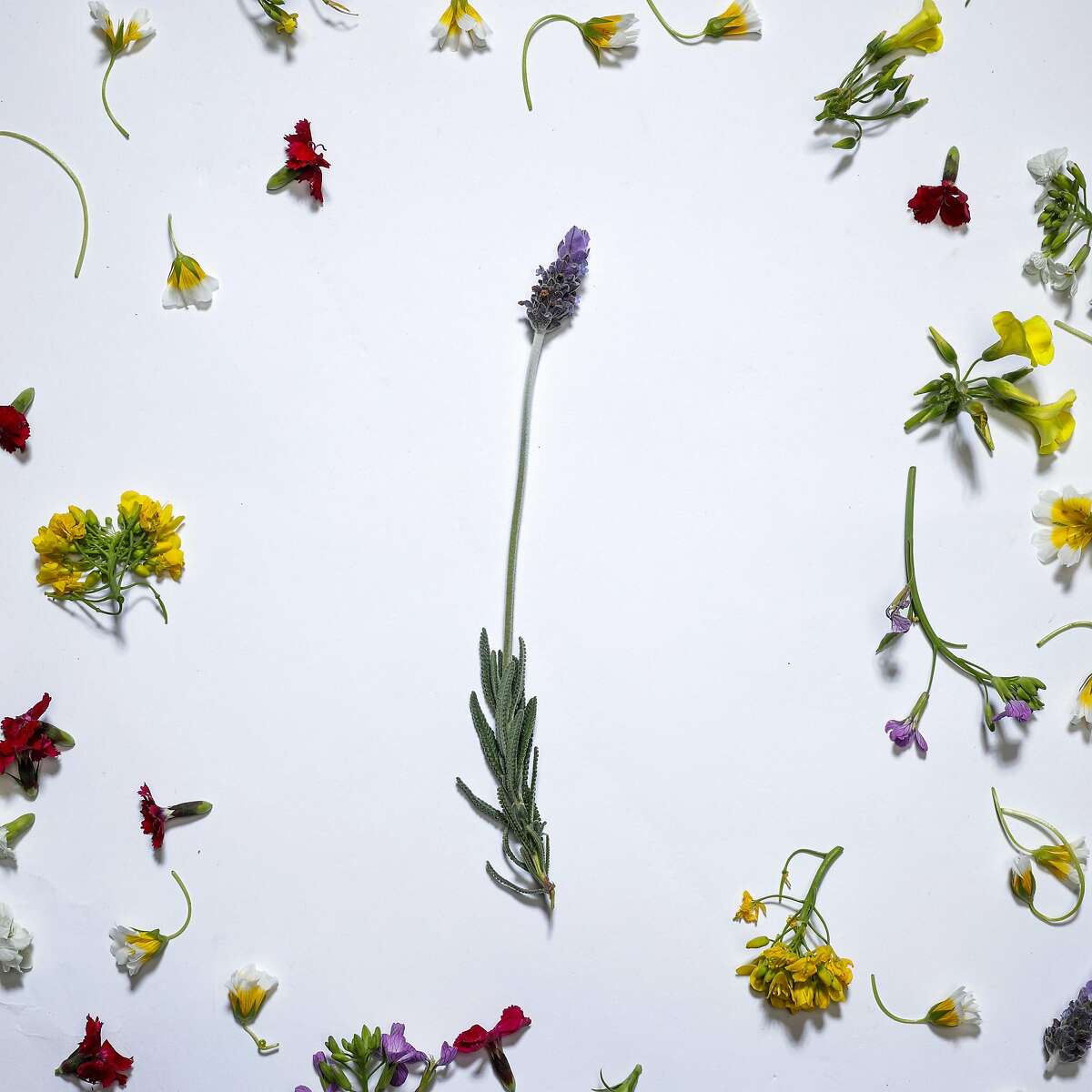 Flower power: Bay Area chefs and farmers push petals into the mainstream