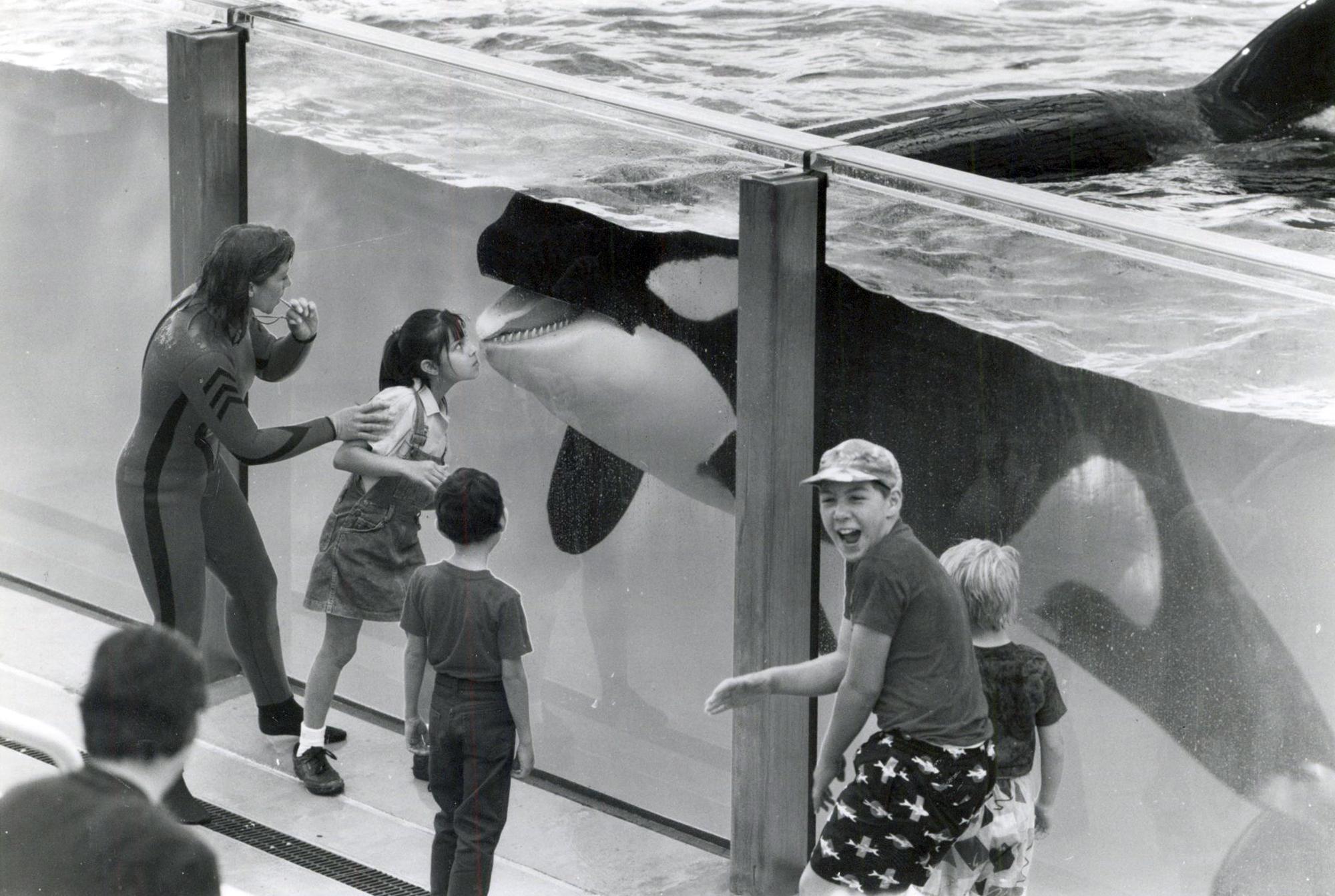 SeaWorld opened to eager crowds 30 years ago