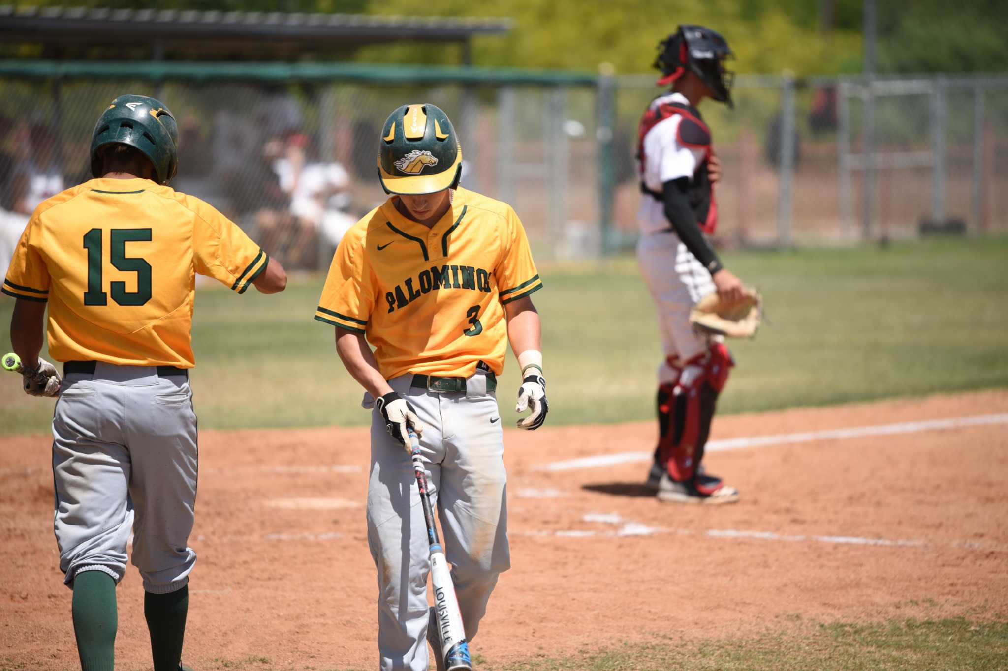Palominos baseball splits last day of tournament