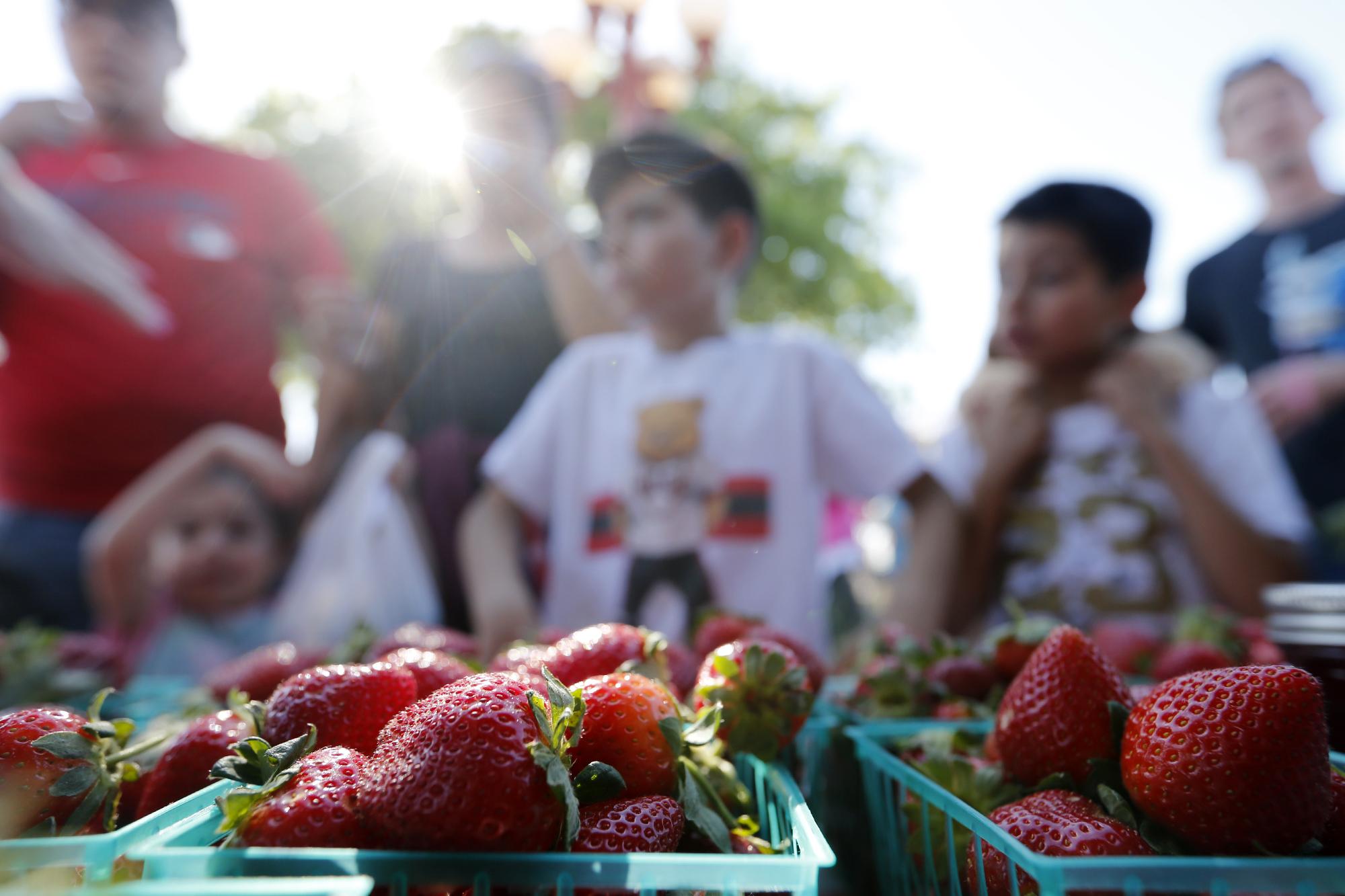 Poteet Strawberry Festival a tradition for Alamo City family