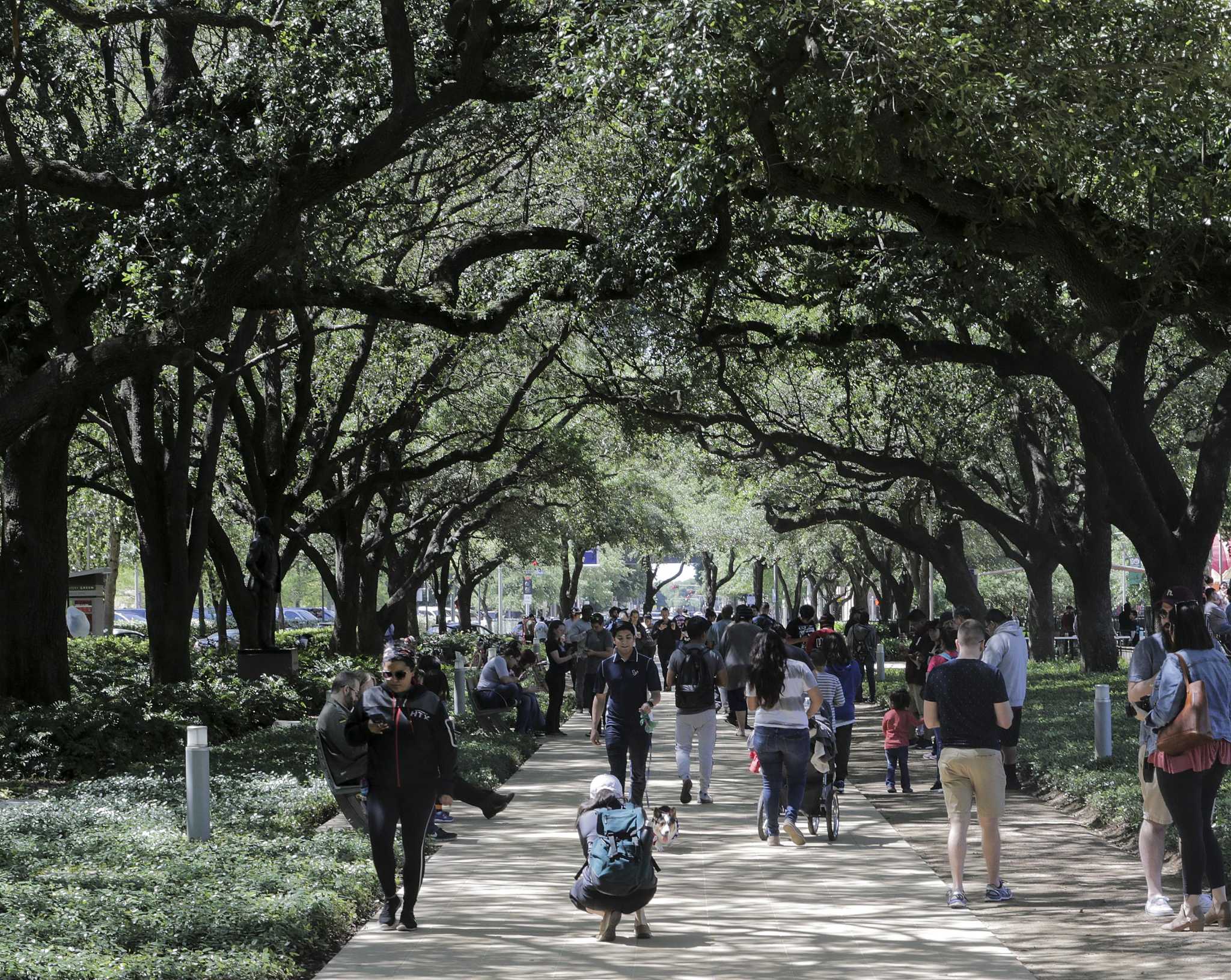 How valuable are trees?