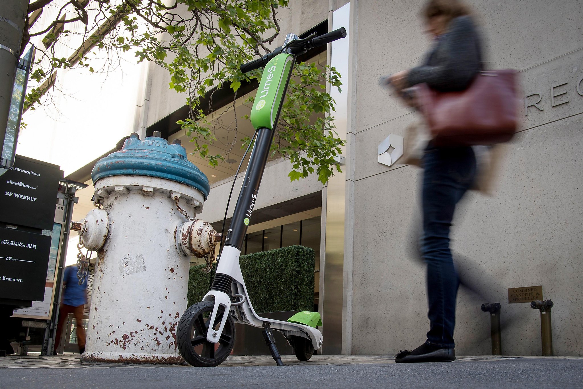 This scooter-sharing company wants to fill the streets with 'transit pods'