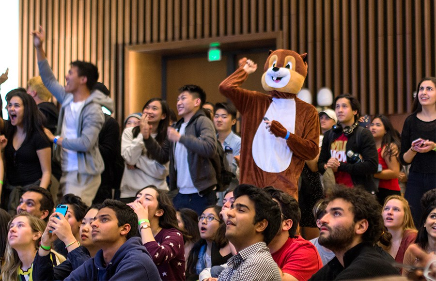 UC Berkeley students elect a squirrel to the ASUC Senate