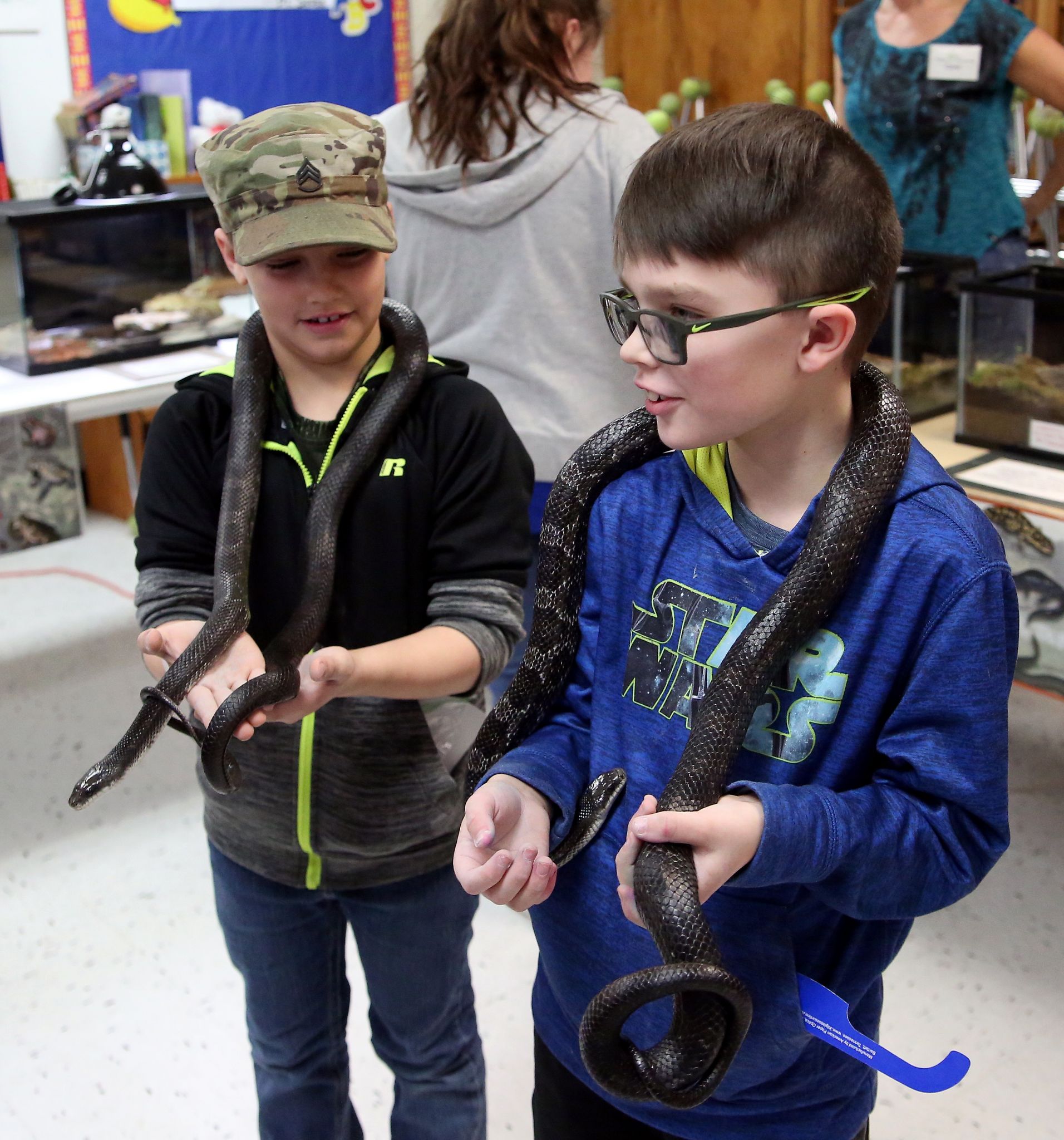 Reptiles, bugs, bands and more