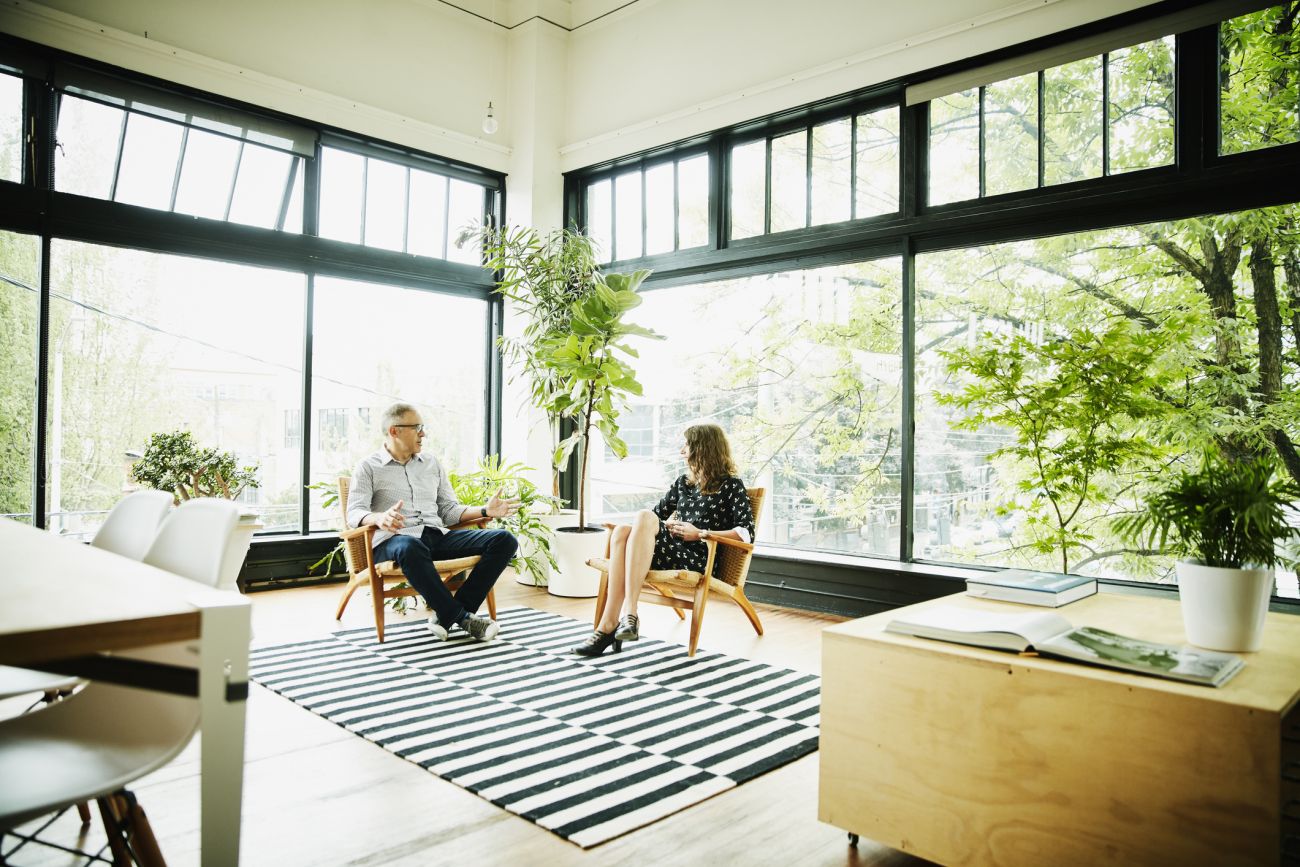 How to Add Plants to an Office to Make Employees More Focused and ...