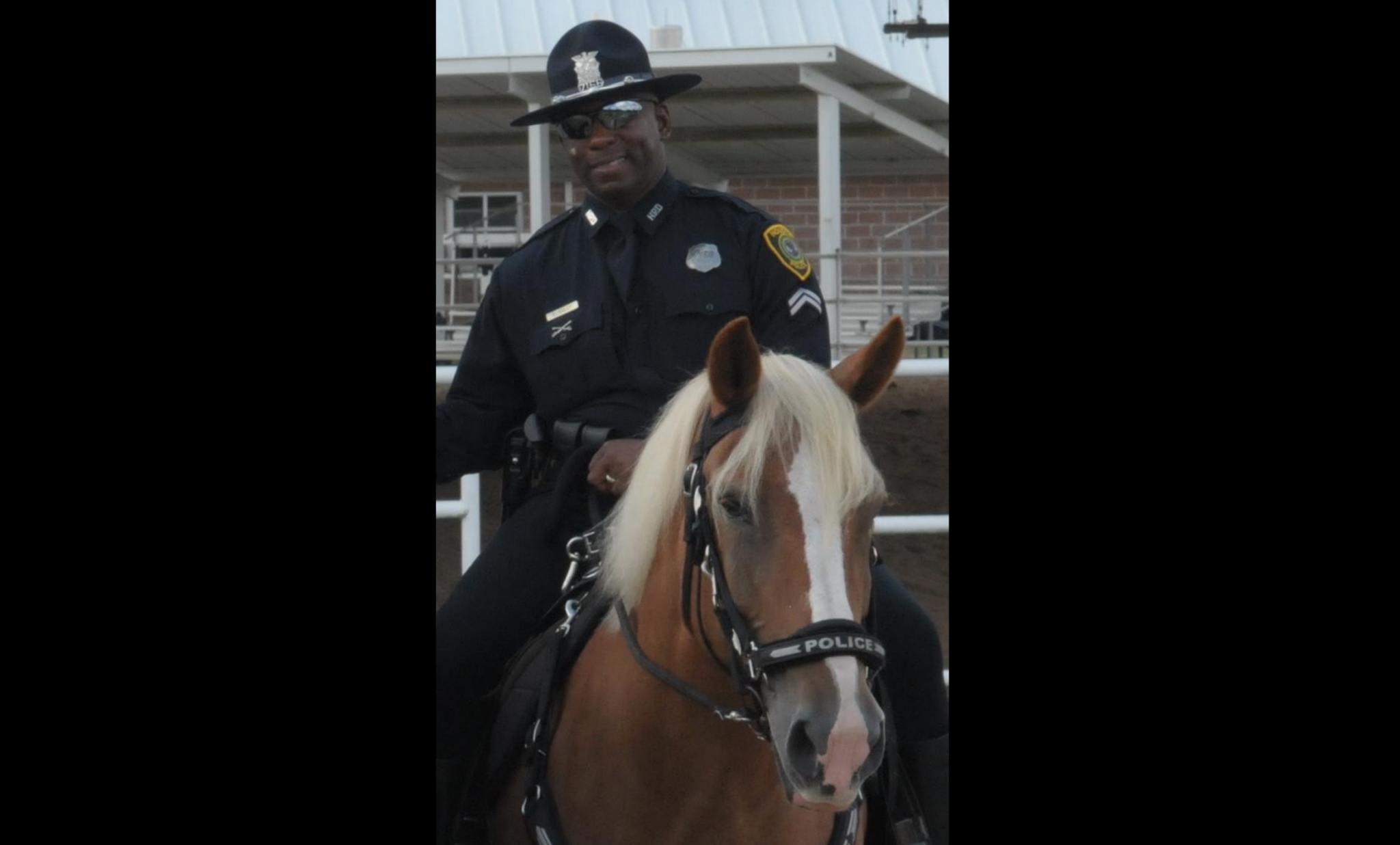 ‘Stalwart’ police horse dead after 15 years with Houston Police Department