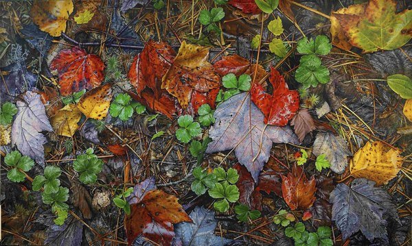 Four prestigious Michigan artists featured in local exhibit
