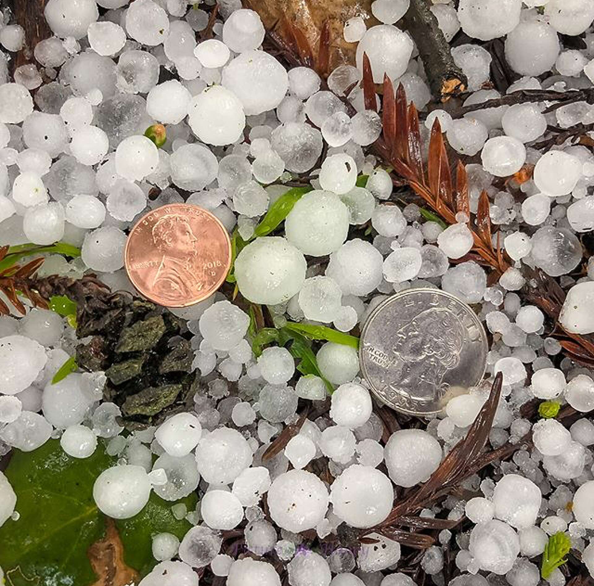 Sun, Rain & Hail: Our favorite Bay Area Instagrams from April