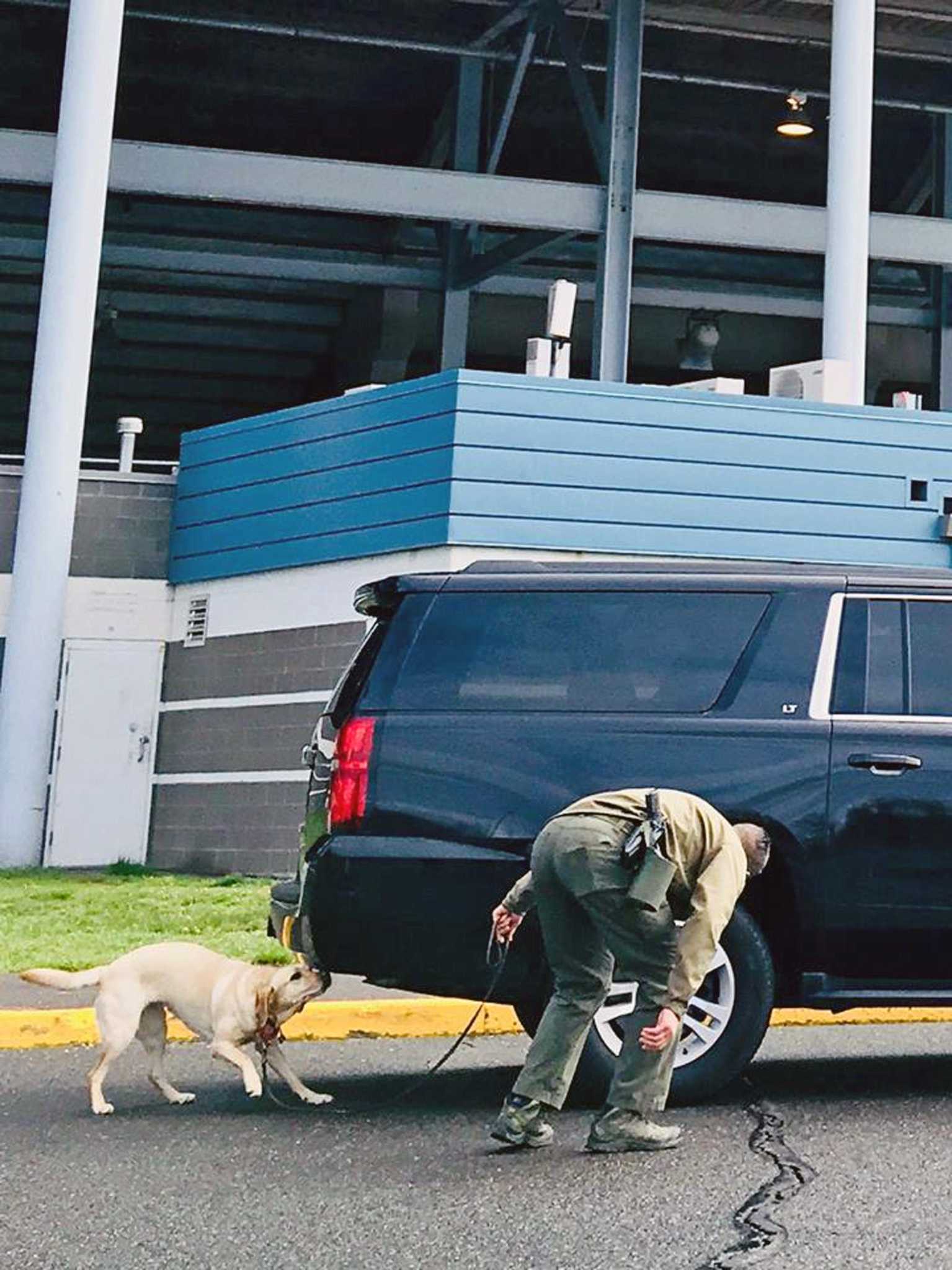 25 police K9 teams practiced explosives training