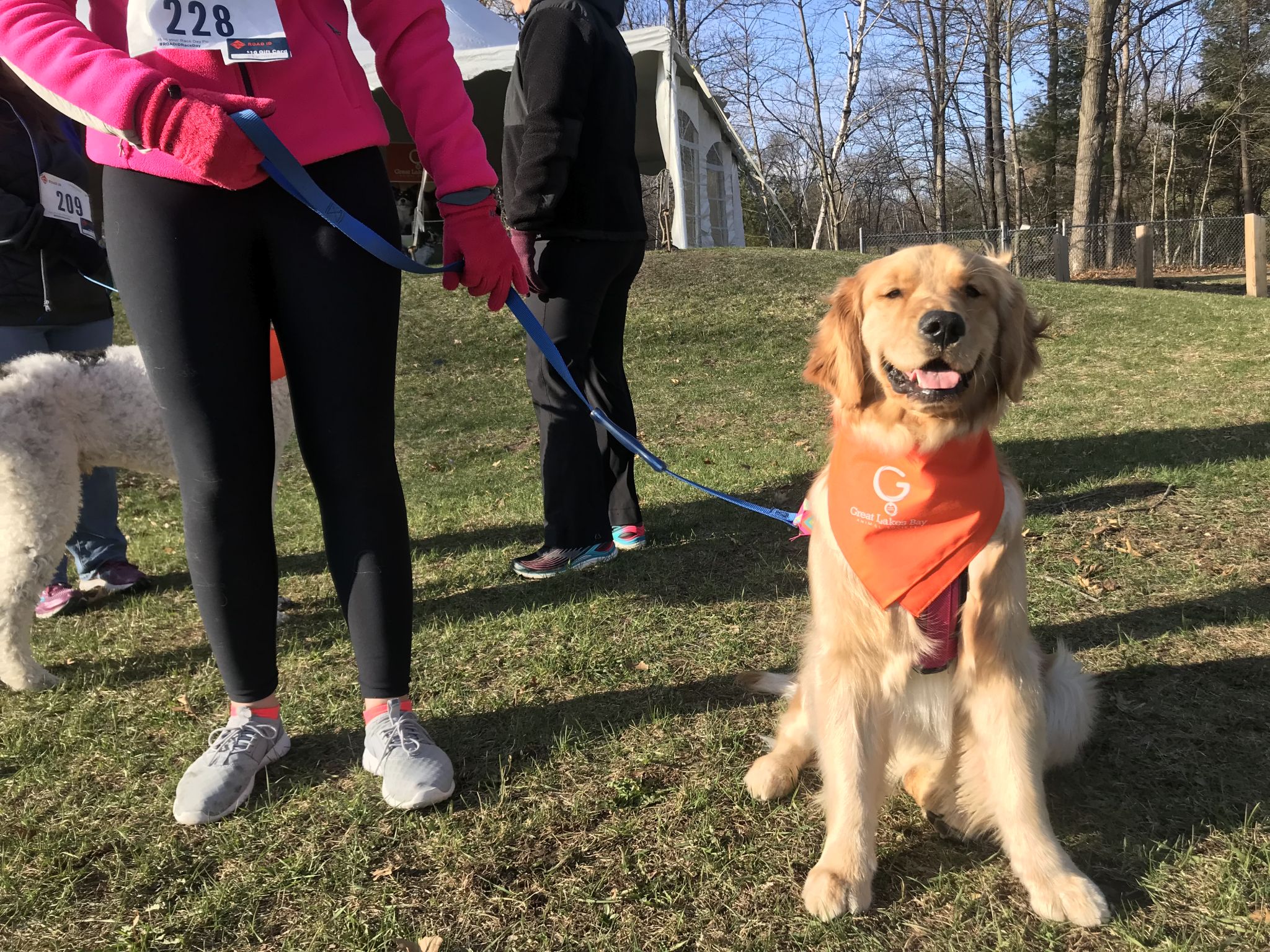 Dogs race for 'fast and furriest' title in charity 5K