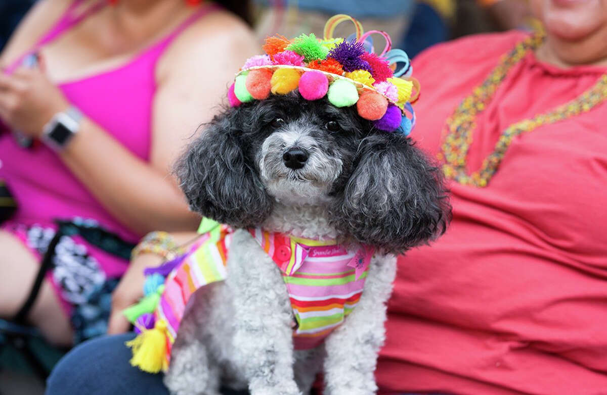 Photos: King William Fair takes over Southtown for Fiesta