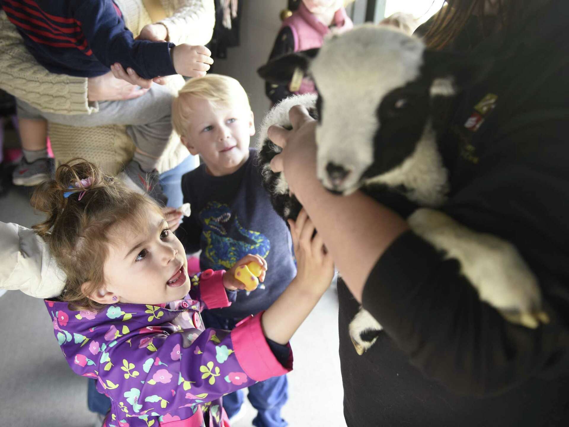 Animals entertain at “Spring at the Farm”