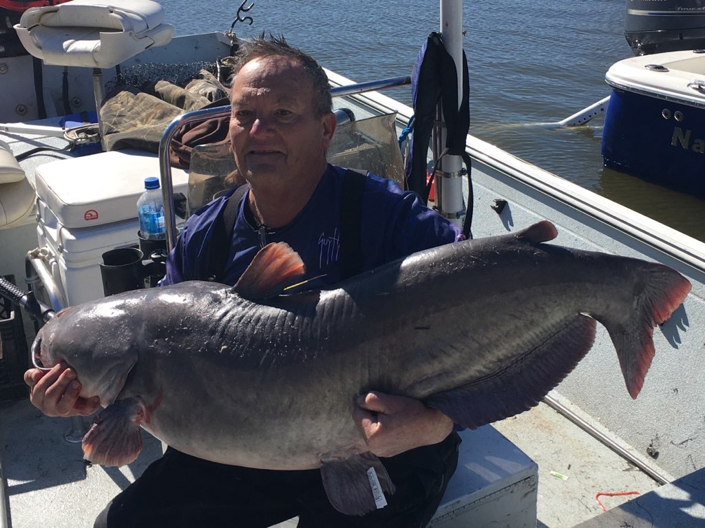 Photos: 77-pound catfish, other trophies tagged in the Houston area