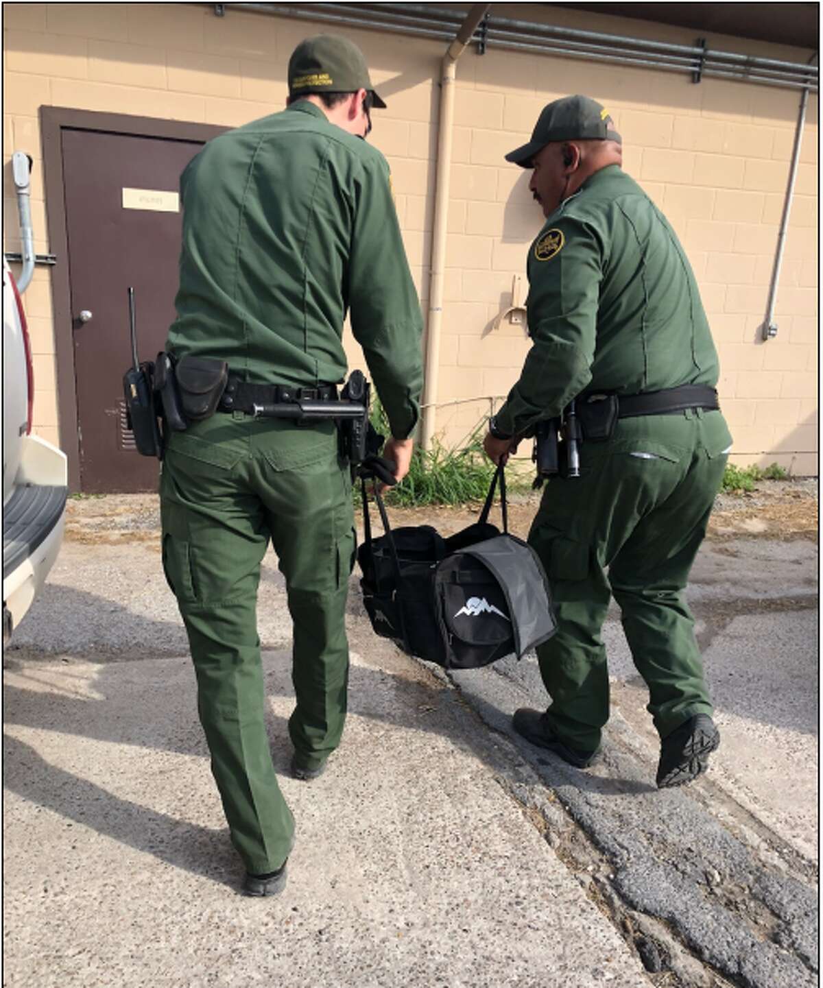 Border Patrol agents find alligator, tiger cub during unusual encounters