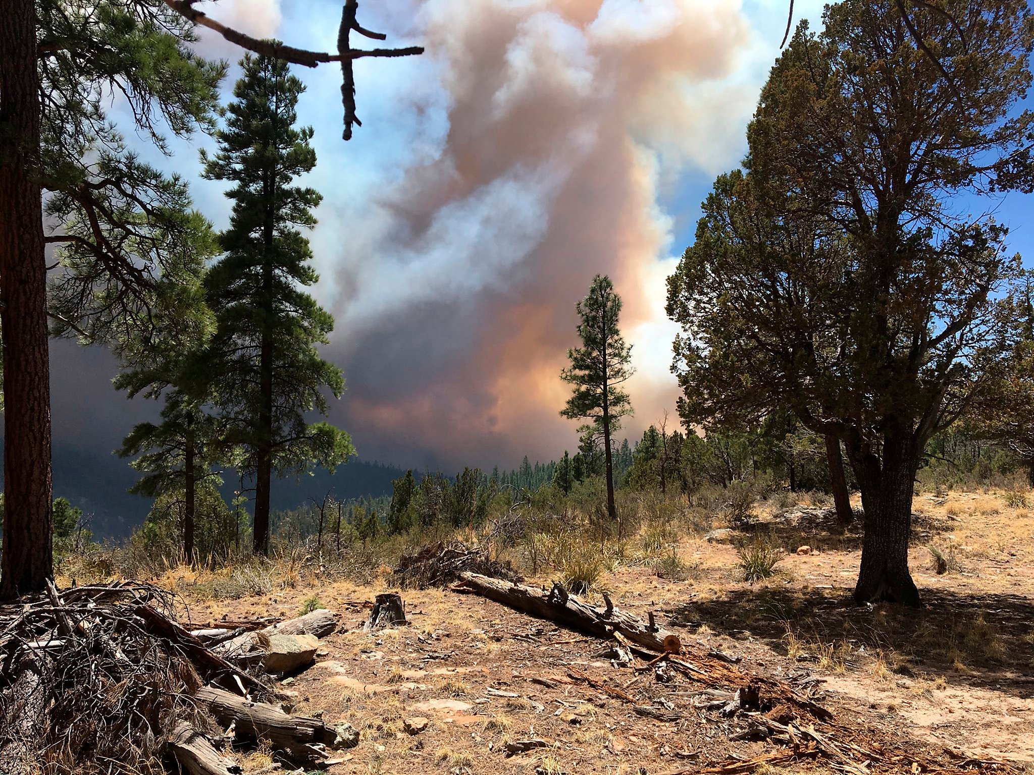 Arizona wildfire grows but weather conditions improve
