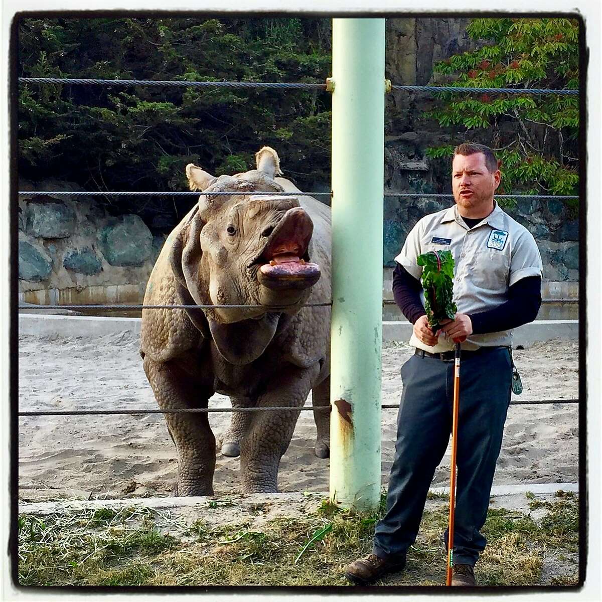 ZooFest celebrates supporters of leaping lemurs and other critters