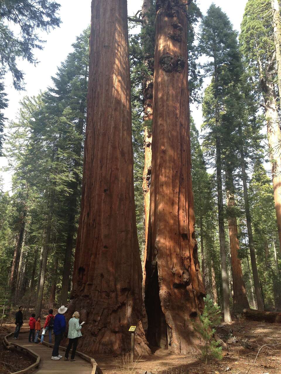 Top 10 California parks to see before you die