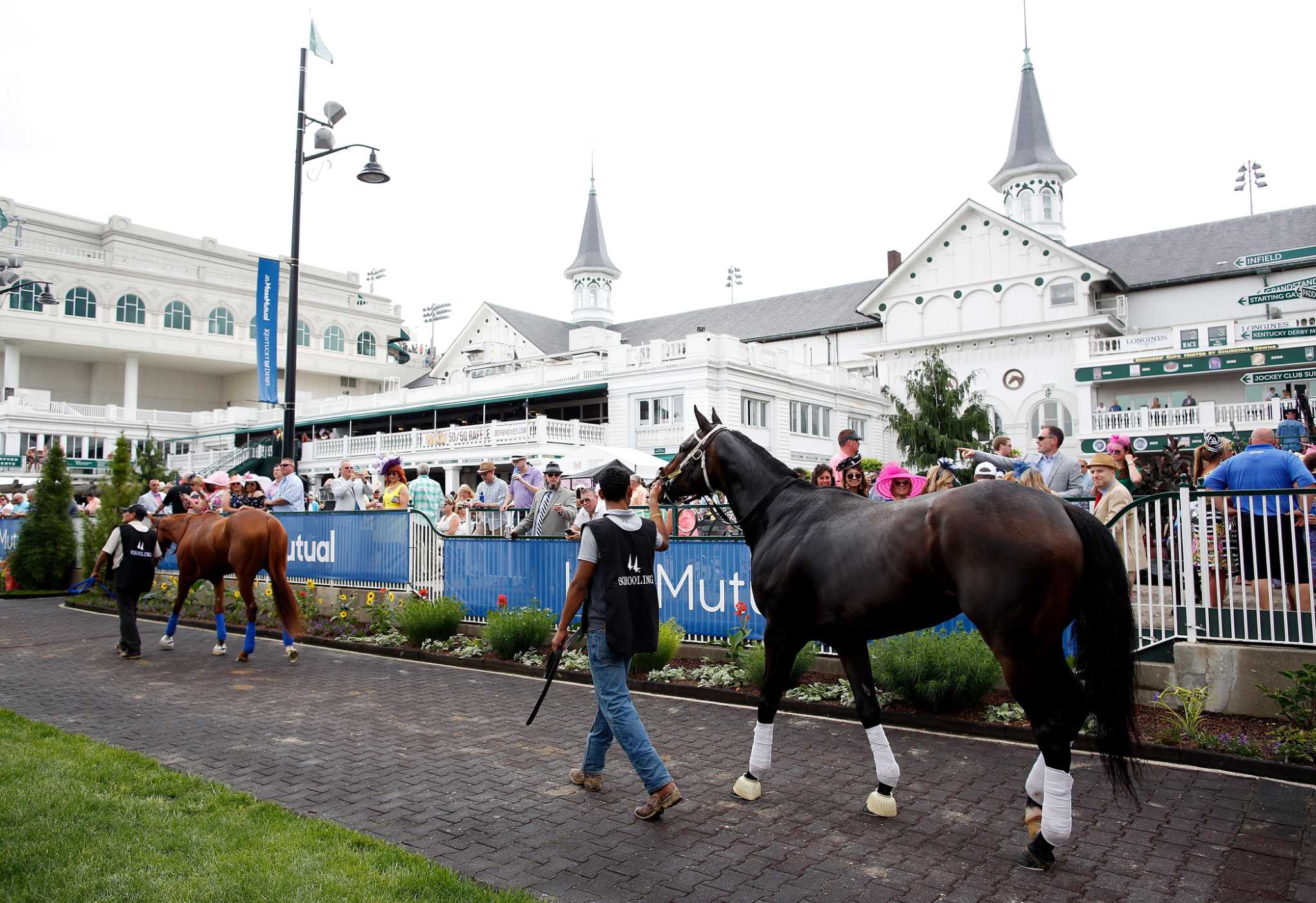 Kentucky Derby: Dan Nowak breaks down the field