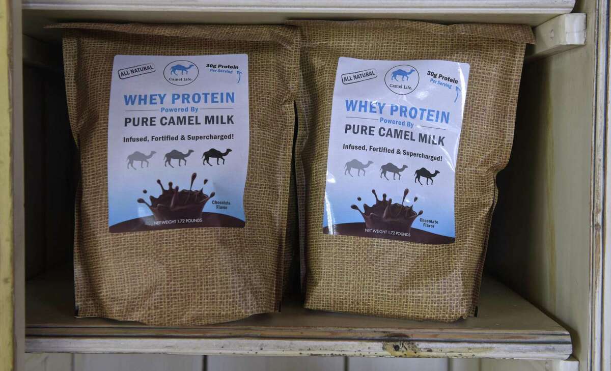 Ridgefield couple introduces camel to the neighborhood