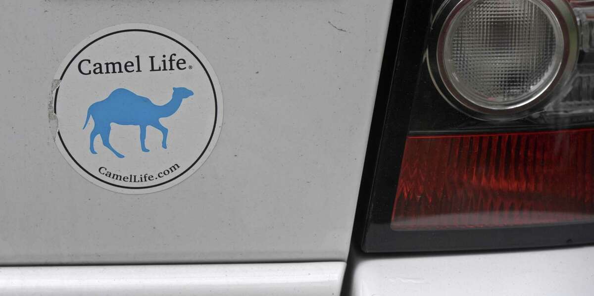 Ridgefield couple introduces camel to the neighborhood